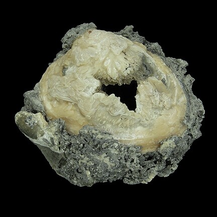 Calcite after Clam Shell | Rucks Pit, Fort Drum, Okeechobee County, Florida