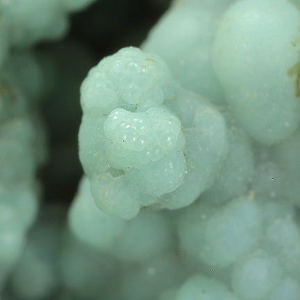 Carbonate-rich Fluorapatite (var: Francolite) | Kovdor Massif, Kola ...