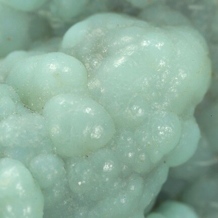 Carbonate-rich Fluorapatite (var: Francolite) | Kovdor Massif, Kola ...