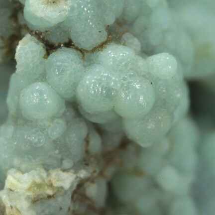 Carbonate-rich Fluorapatite (var: Francolite) | Kovdor Massif, Kola ...