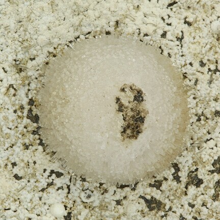 Natrolite (ex Allen Heyl Collection) | Horseshoe Dam area, Phoenix ...