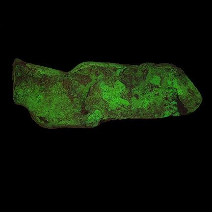 Phosphuranylite with Uranopilite (ex Allen Heyl Collection) | White ...