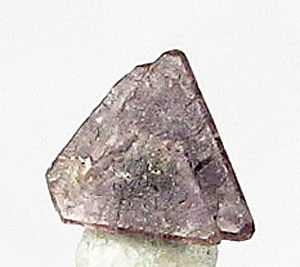 Chambersite (RARE borate) self-collected by Fred Pough | Venice Salt ...