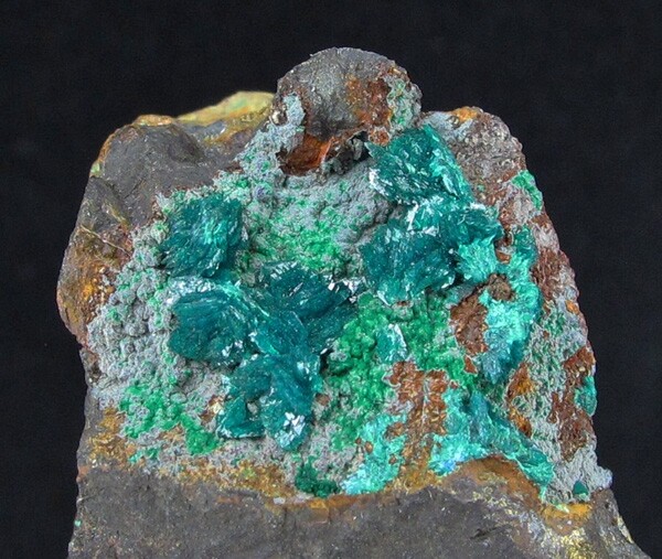 Liroconite (rare GREEN - old classic) | Wheal Gorland, Gwennap, St Day ...