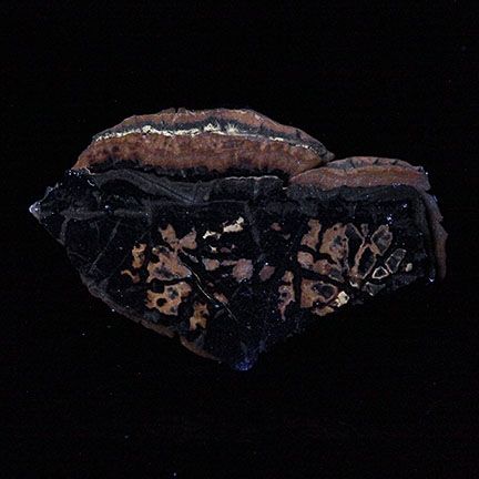 "Schalenblende" | Schmalgraf Mine, Moresnet, Kelmis, Plombieres-Vieille ...