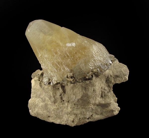 Calcite (rare Ohio locale) | Cardinal Aggregates Quarry, Perrysburg ...