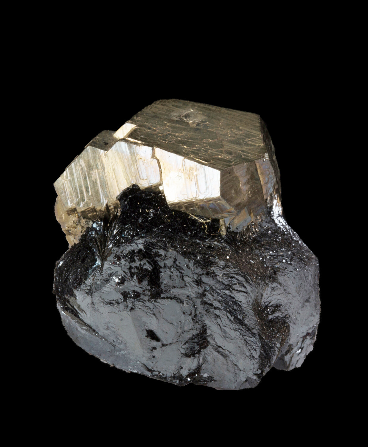 Pyrite on Hematite (classic locale) Whitmore Coll. | Rio Marina, Elba ...