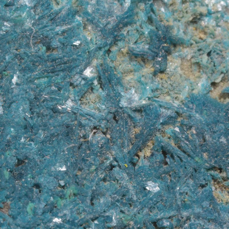 Posnjakite (rare copper sulfate) (ex Kay Robertson Collection ...