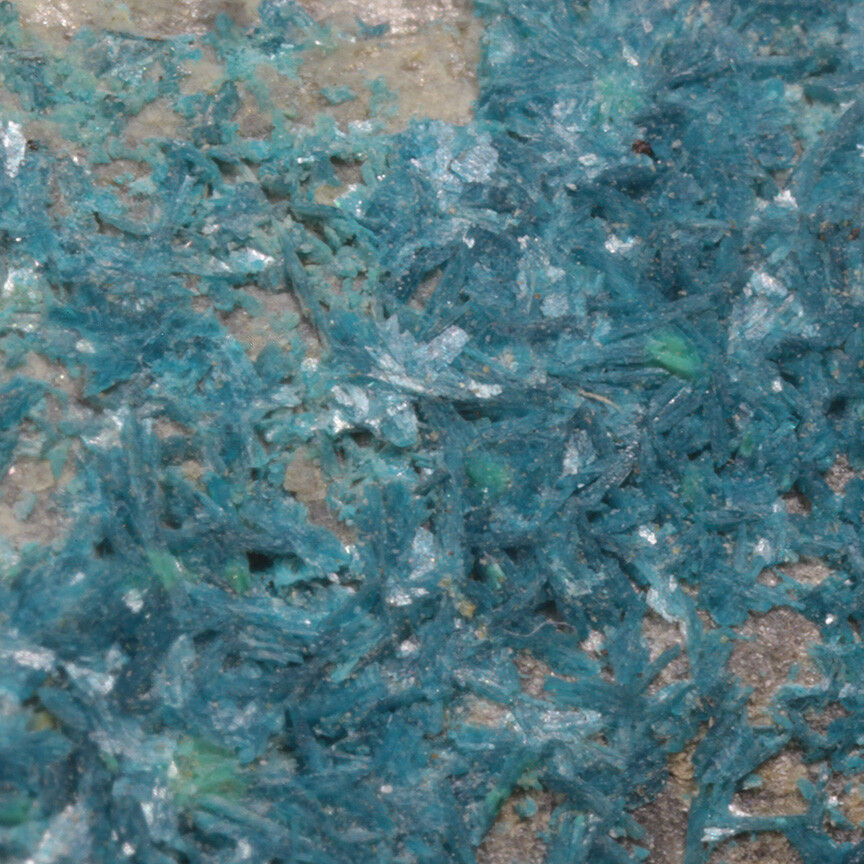 Posnjakite (rare copper sulfate) (ex Kay Robertson Collection ...