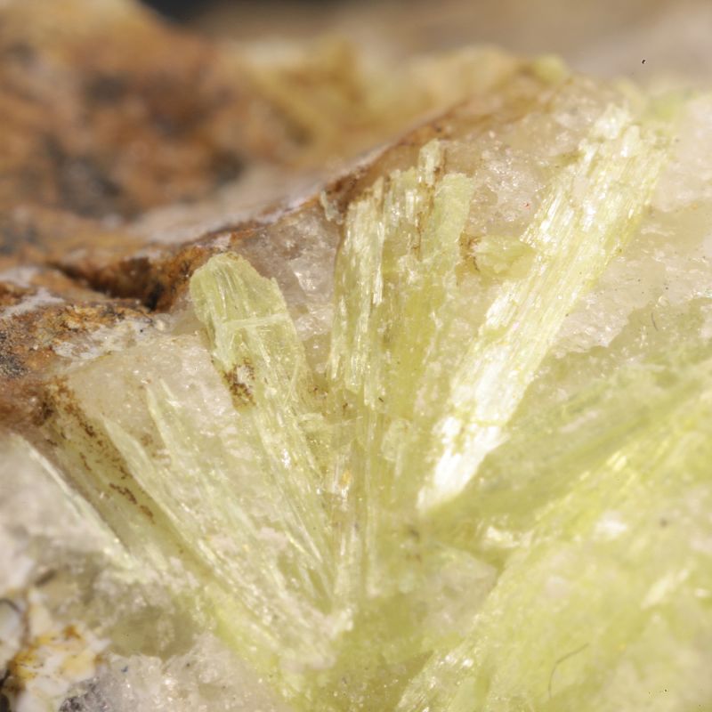 Carpathite (highly fluorescent) | Picacho Mine (Picachos Mine; Los ...