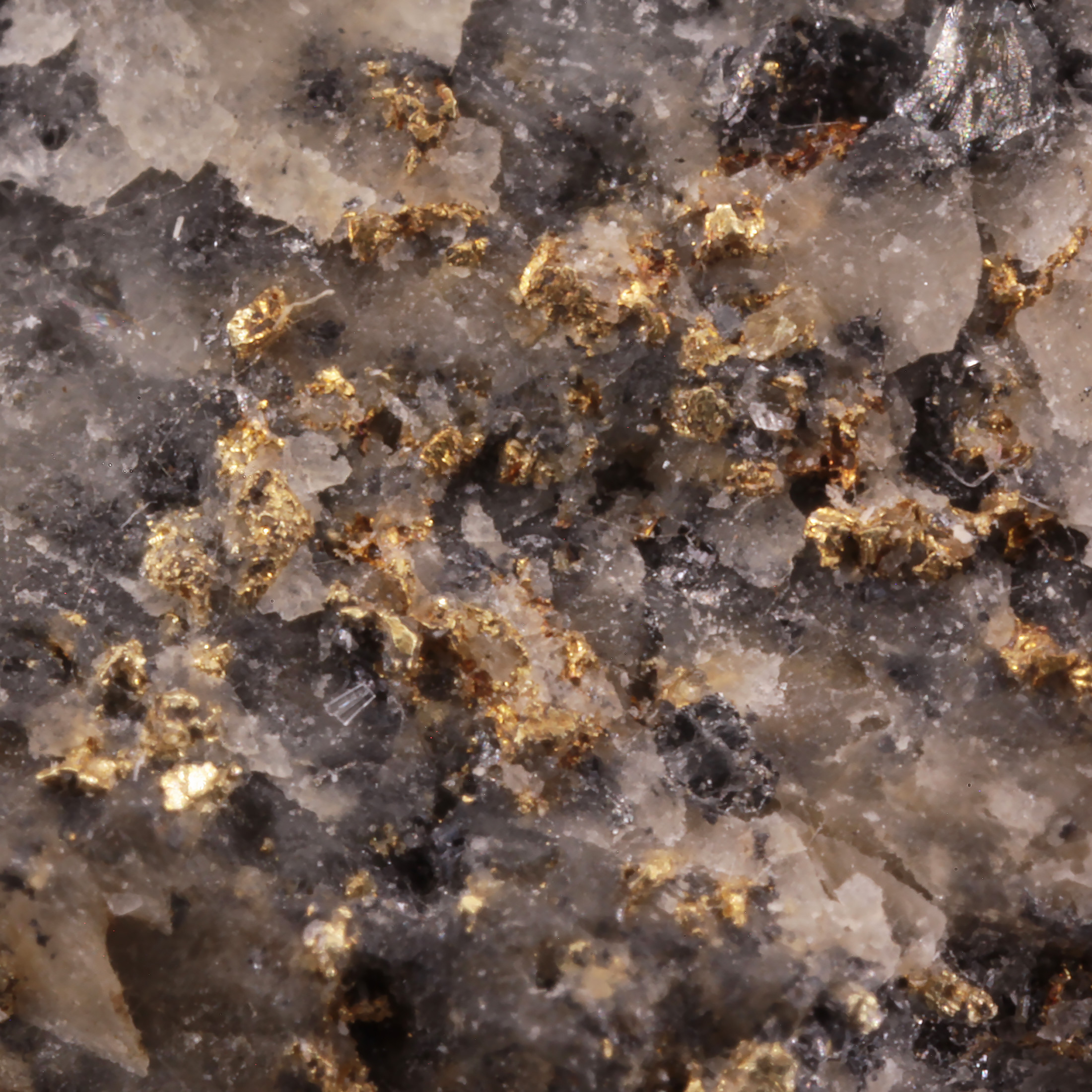 Gold (rare locality specimen) | Goldsmith Mine, Butte, Silver Bow Co ...