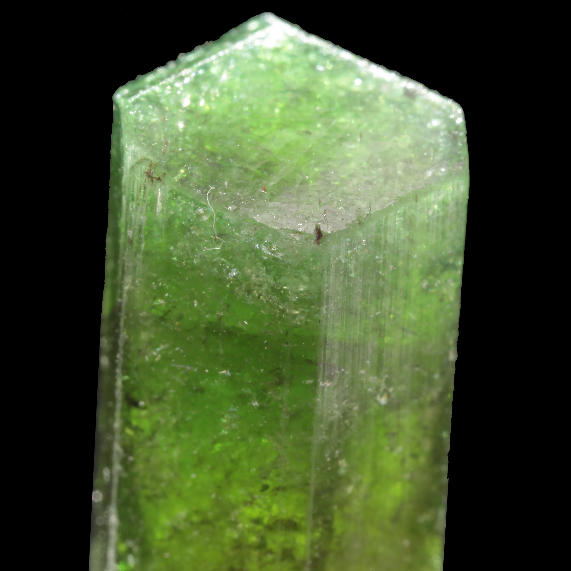 Dravite Tourmaline (Vanadium-bearing) | Pyant Gyi Mine, Pein-Pyit ...
