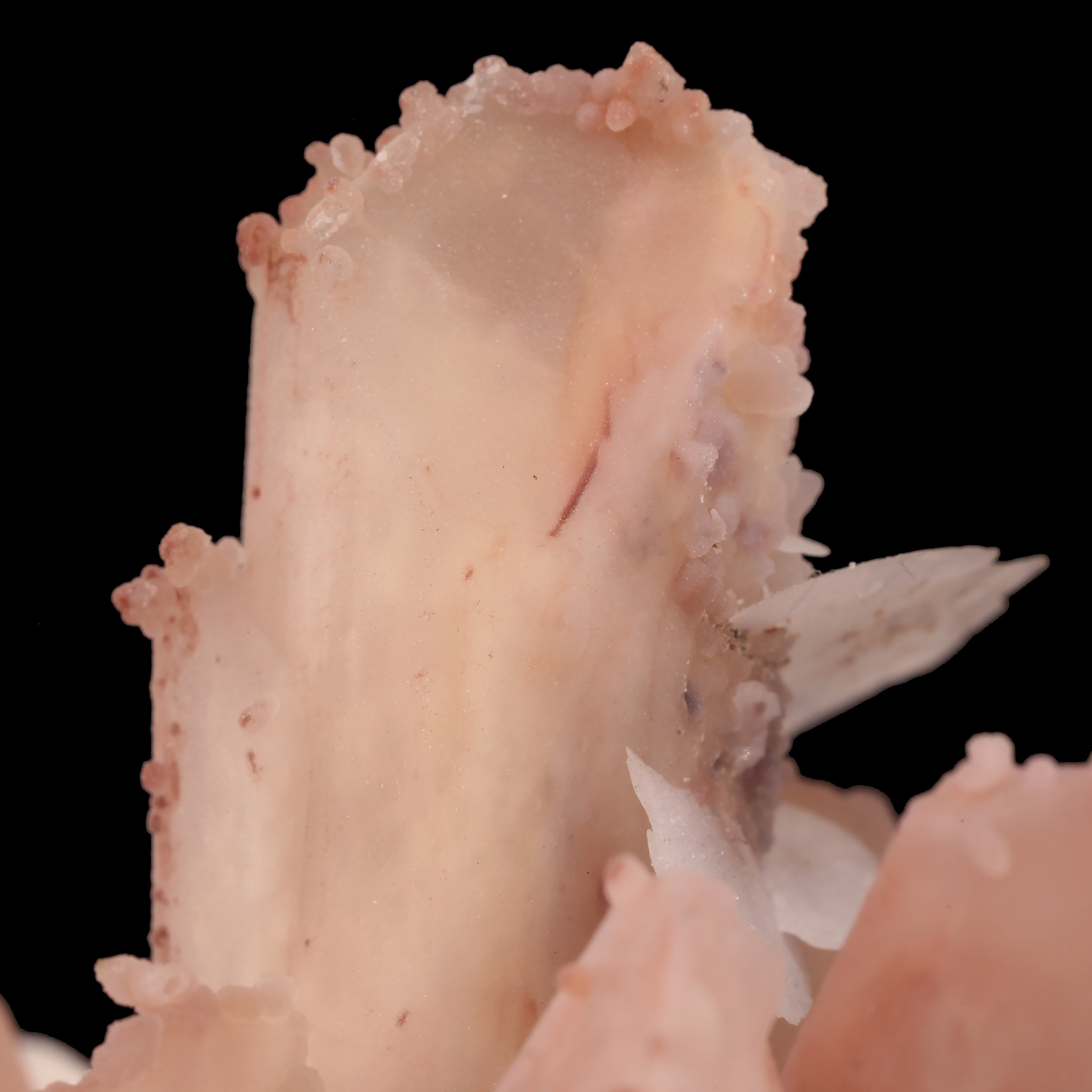 Danburite | San Sebastian Mine, Charcas, Charcas Municipality, San Luis ...