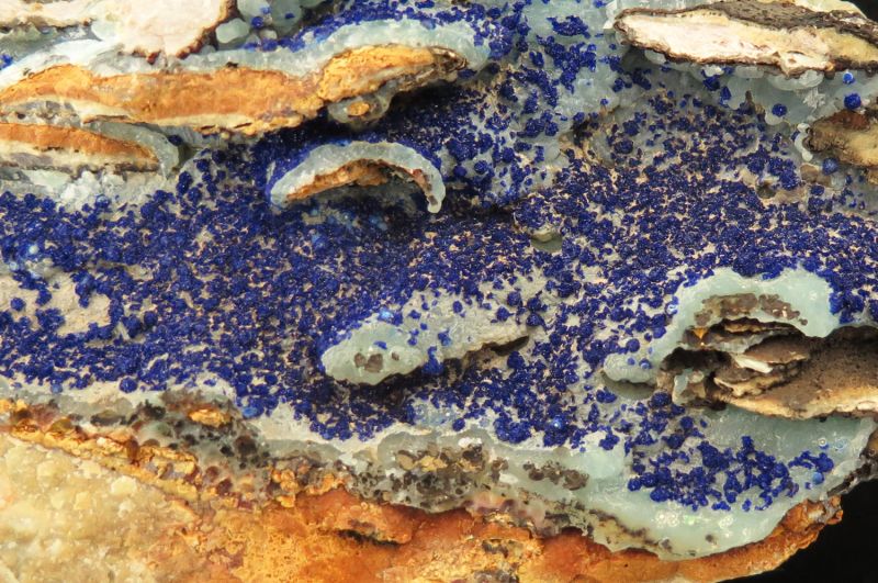 large Azurite on Smithsonite, on petrified wood | Hidden Treasure Mine ...
