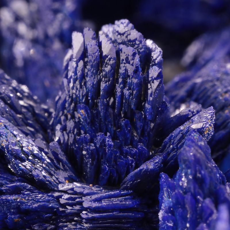 Azurite on Malachite (fine locality specimen) | Nevada Lode, Blue ...