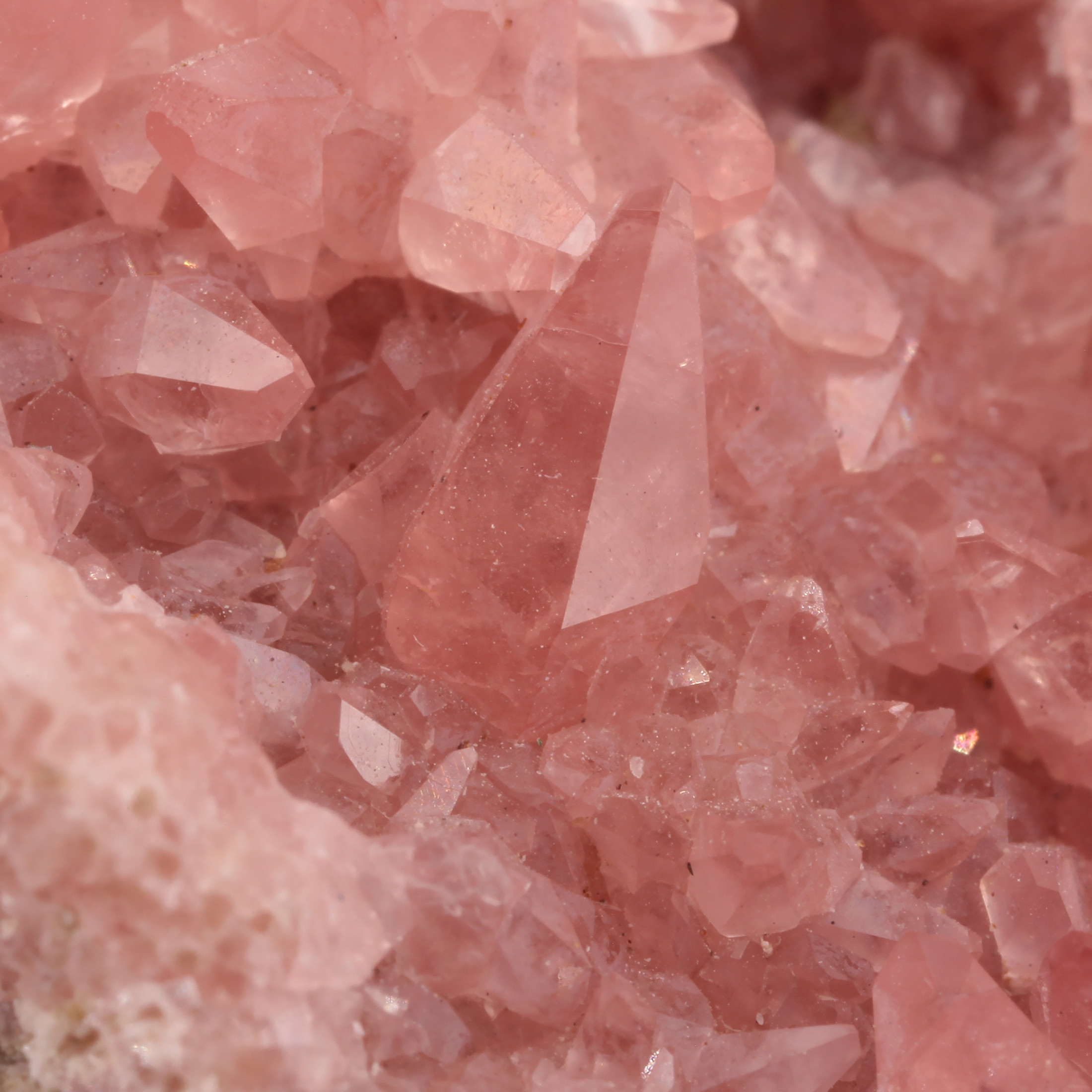 Rhodochrosite (classic locality) | Uchucchacua Mine, Oyon Province ...
