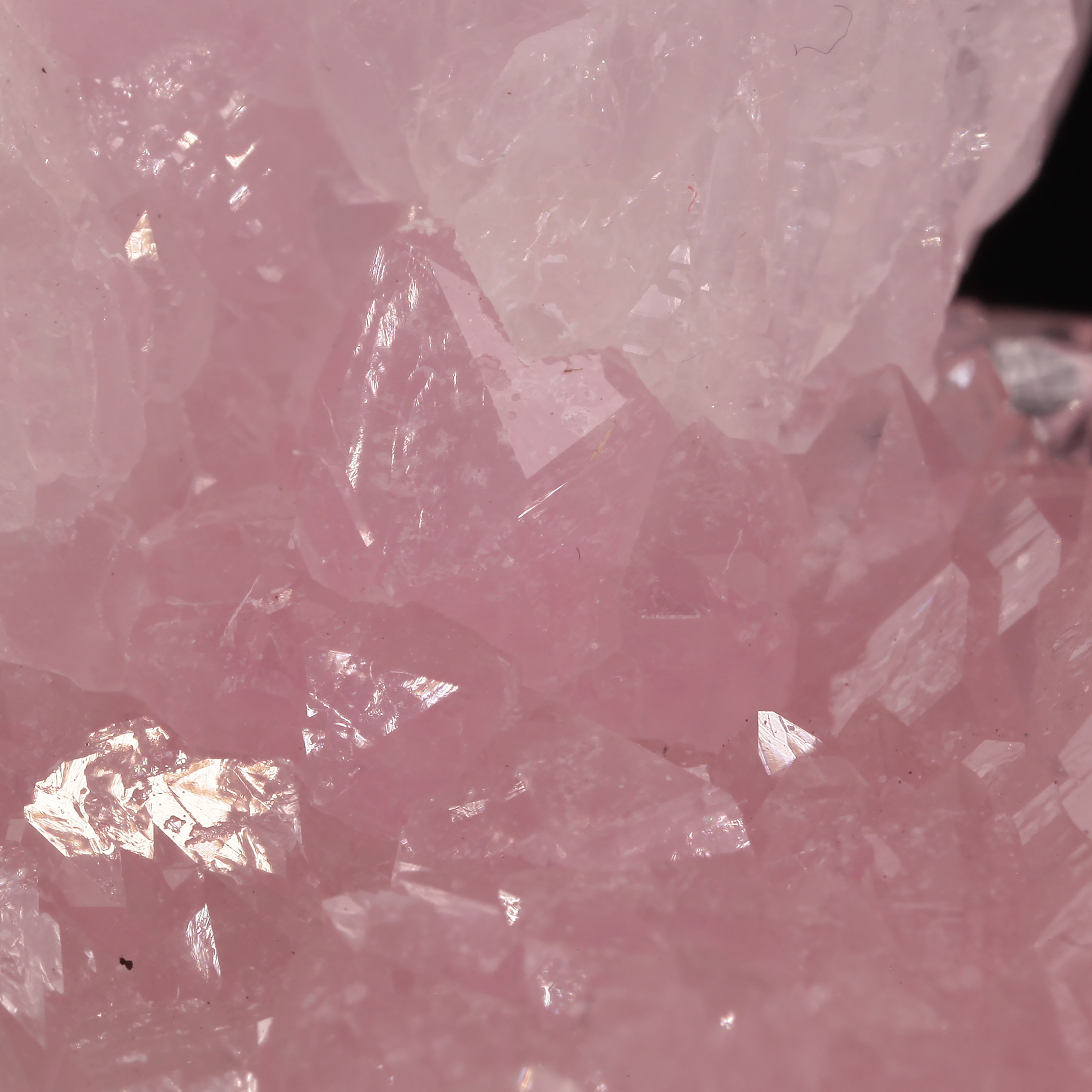 Quartz var: Rose on Quartz | Ilha Claim (Lavra da Ilha), Taquaral ...