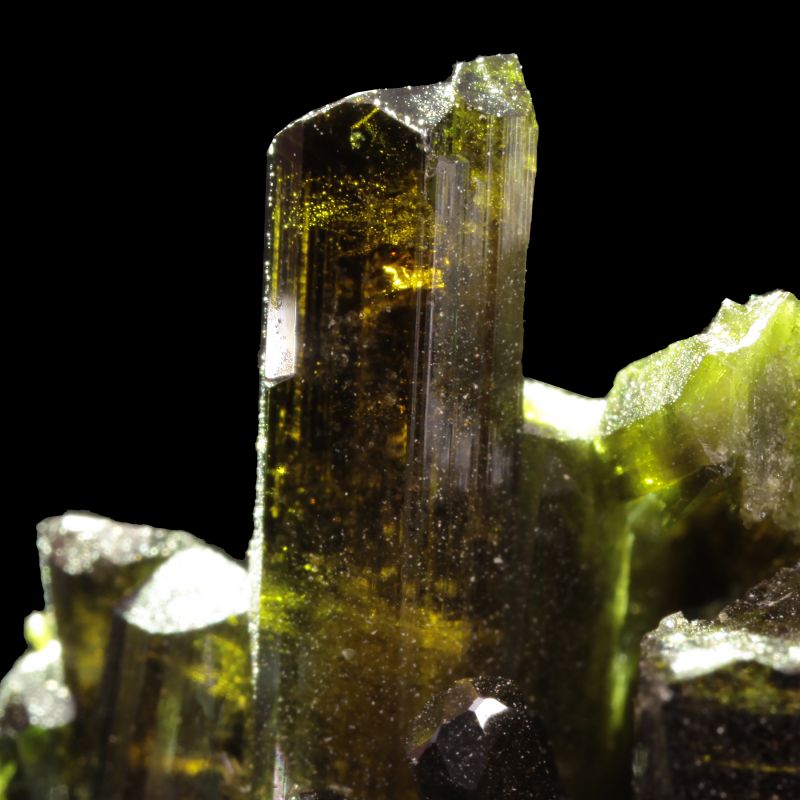 Epidote (classic material) | Knappenwand, Untersulzbachtal, Hohe Tauern ...