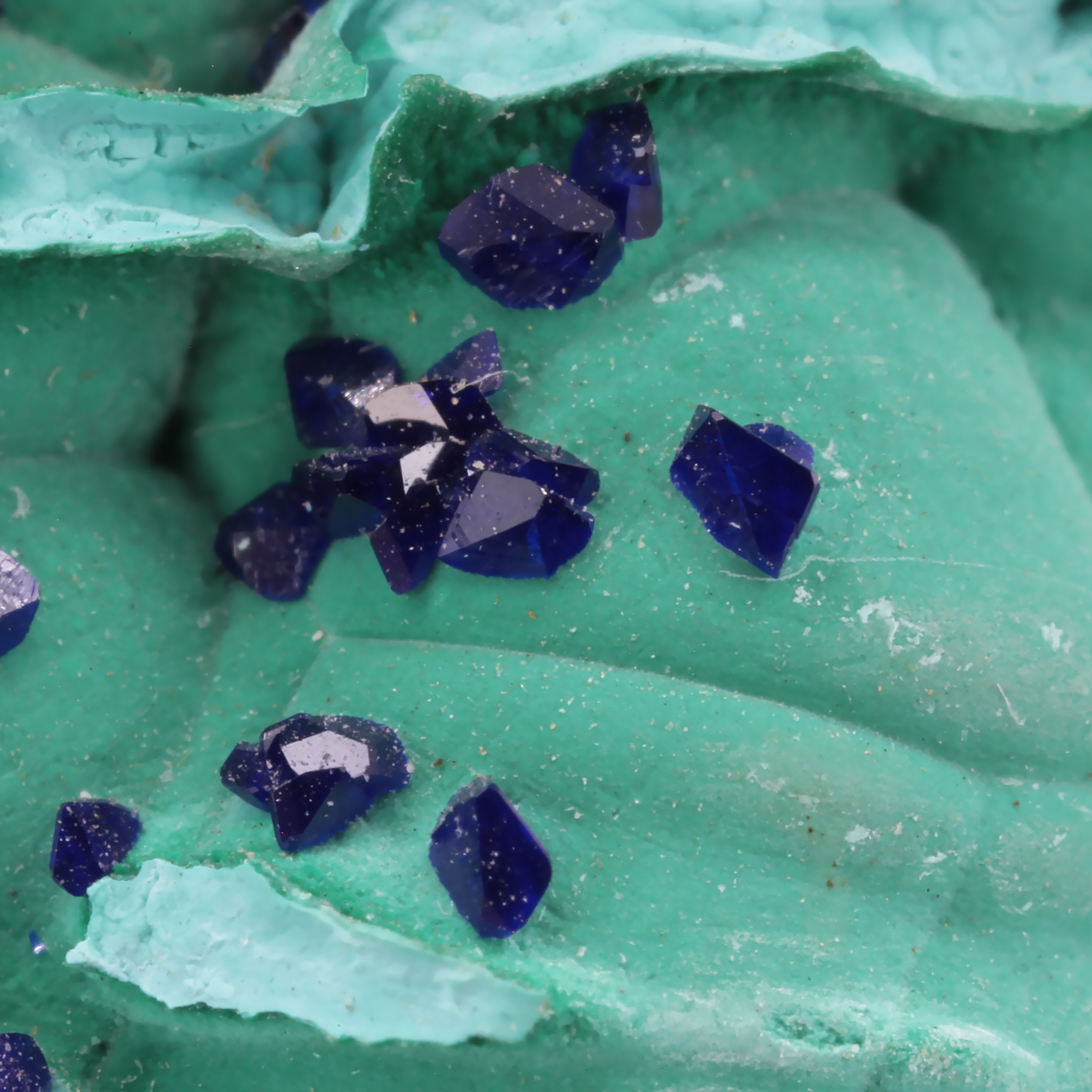 Azurite on Malachite on Azurite (classic locality) | Copper Queen Mine ...