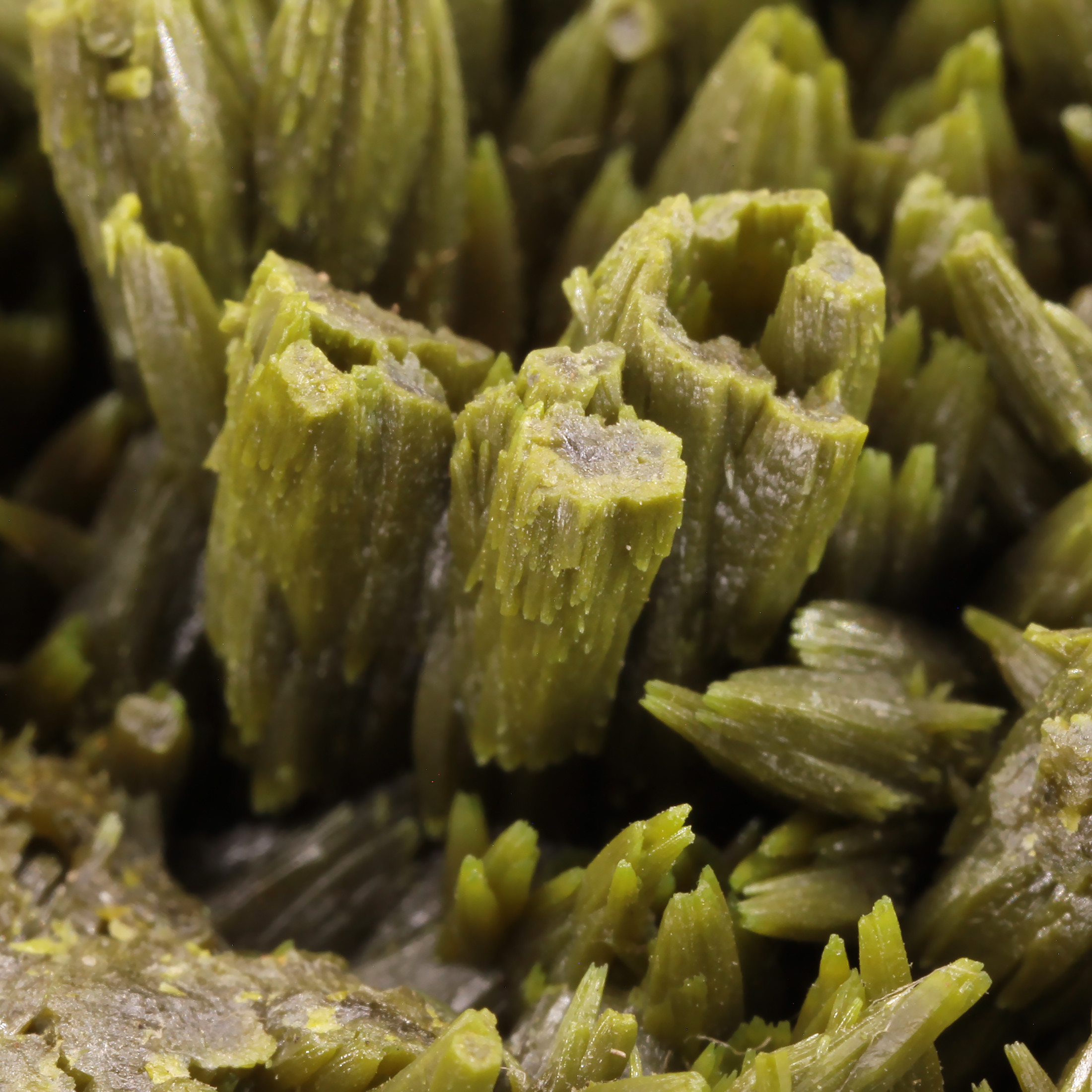 Pyromorphite (superb rare locality specimen) (collected: 1934 ...