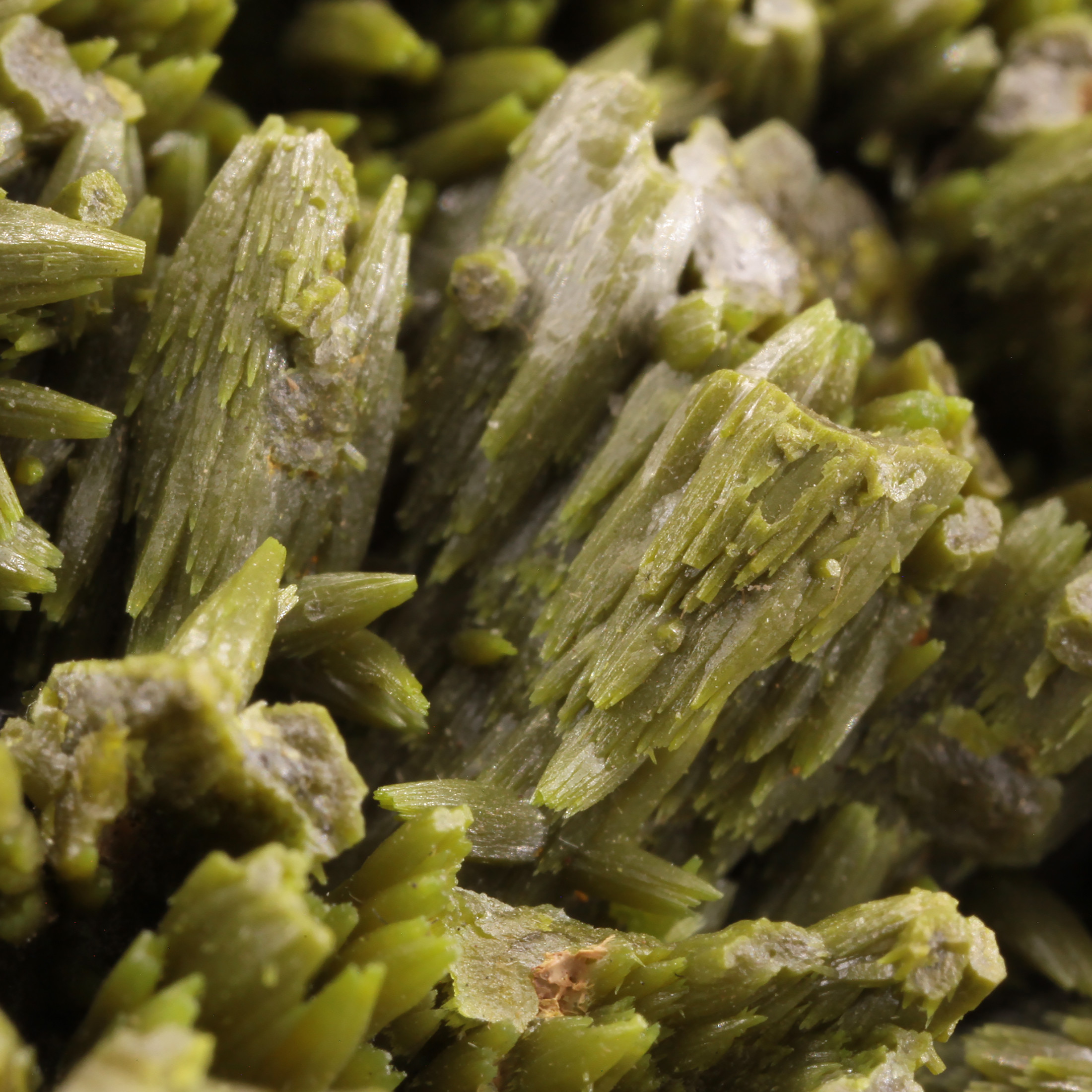 Pyromorphite (superb rare locality specimen) (collected: 1934 ...