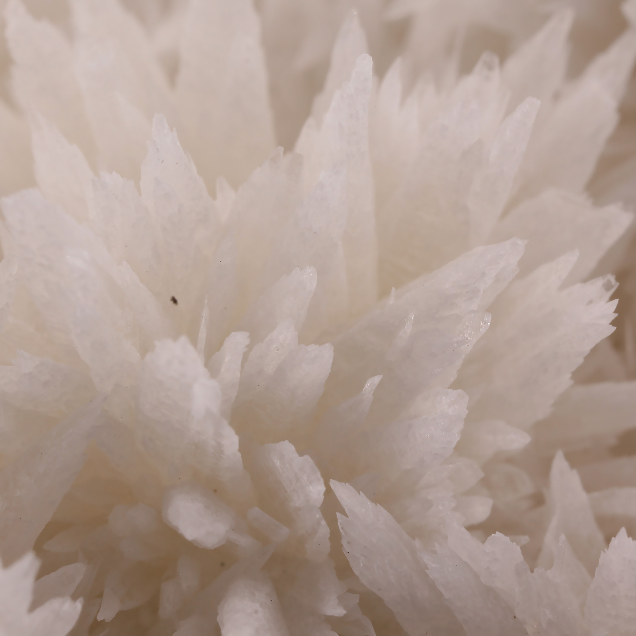 Strontianite (rare locality specimen) | Oak Hall Quarry, College ...