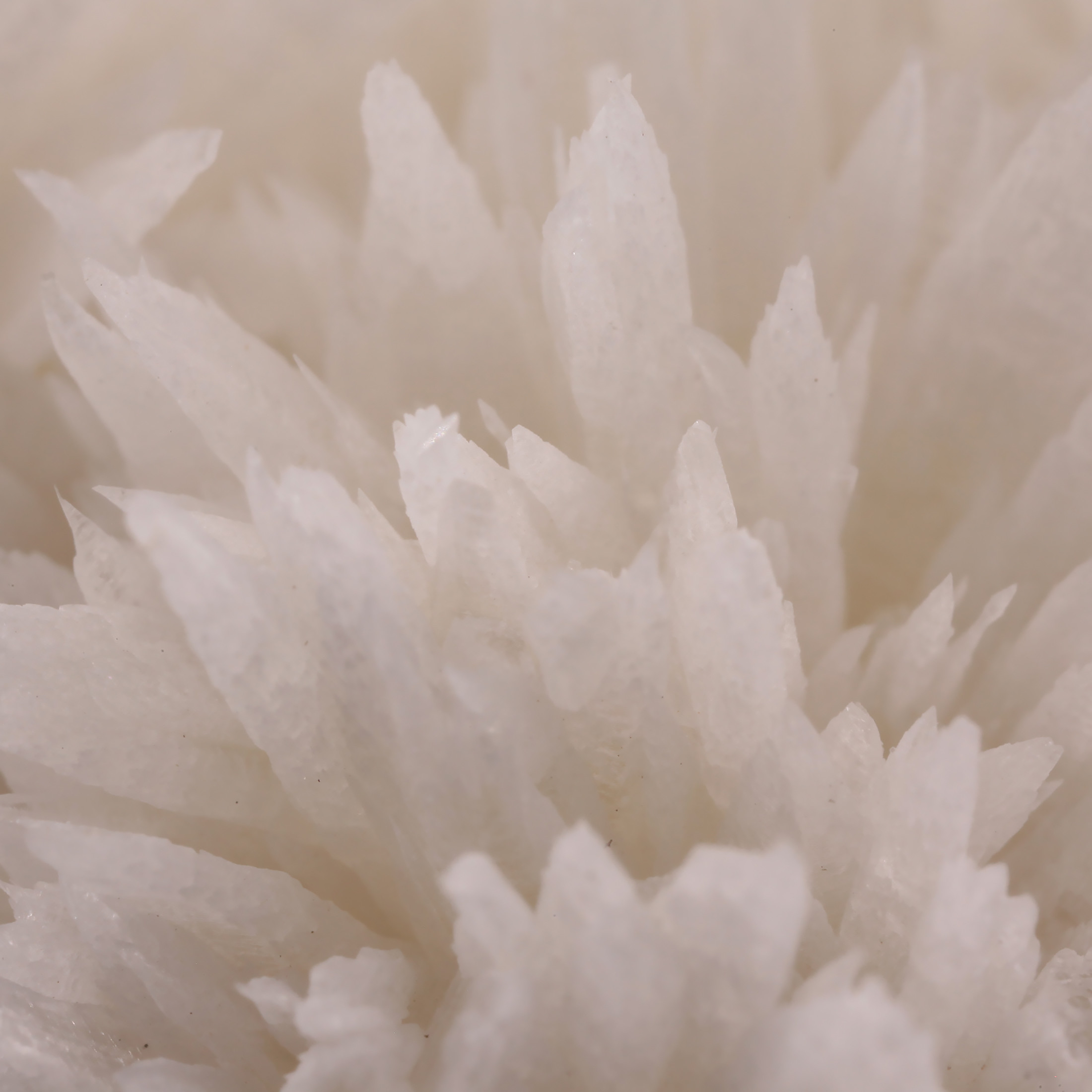 Strontianite (rare locality specimen) | Oak Hall Quarry, College ...