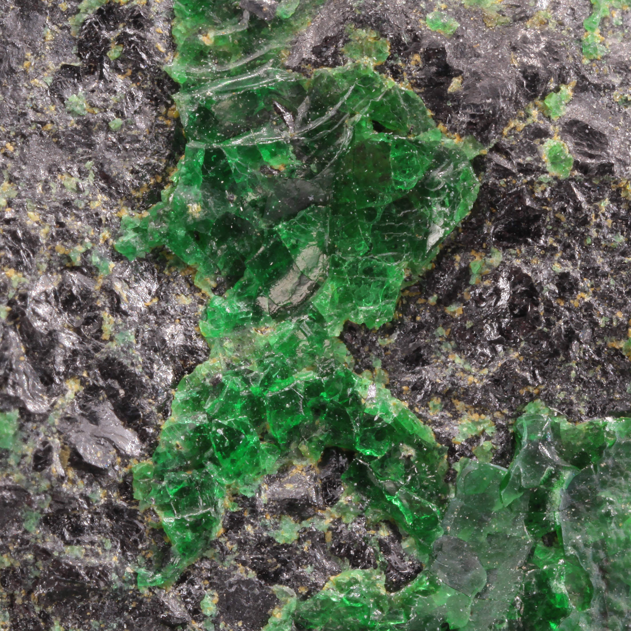 Zaratite (possibly Gaspéite) | Wood's Chrome Mine, Texas, Little ...