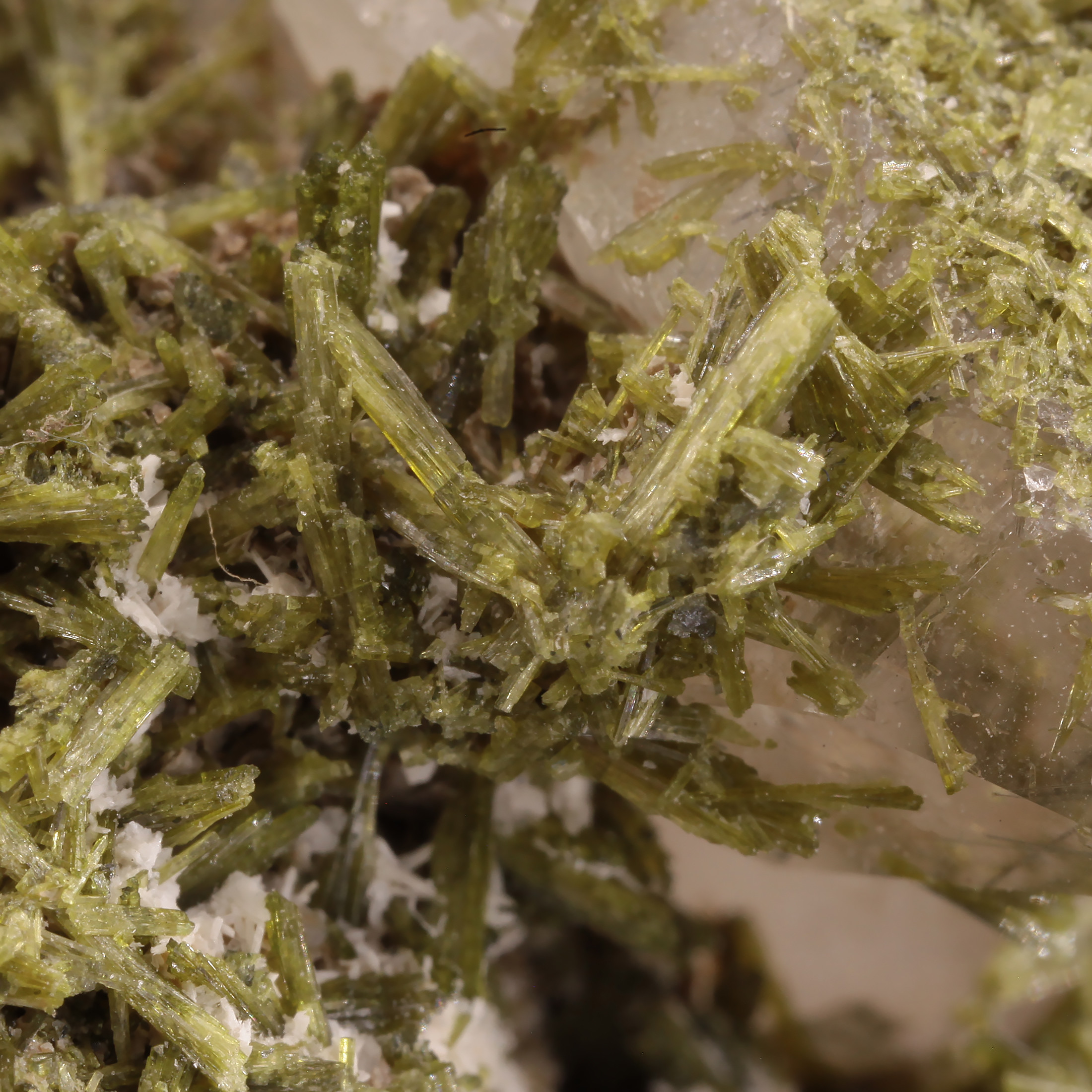 Epidote with Quartz | Teeter Quarry, Cumberland Township, Adams Co ...