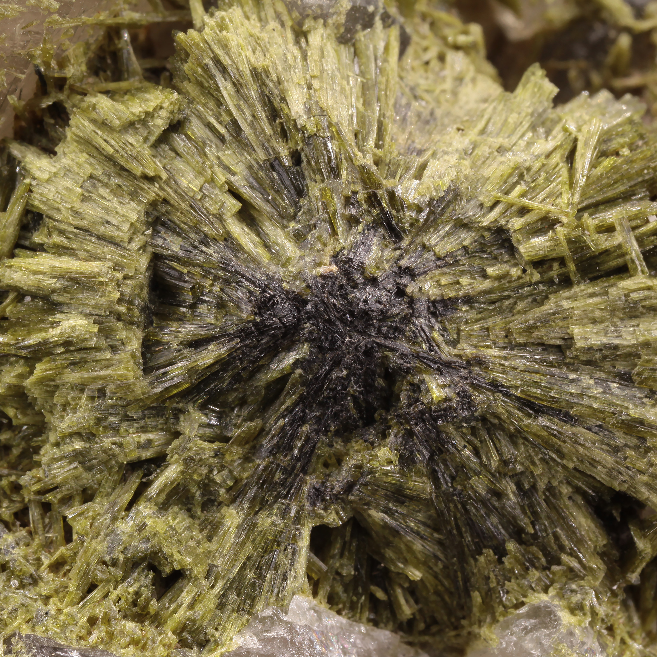 Epidote with Quartz | Teeter Quarry, Cumberland Township, Adams Co ...