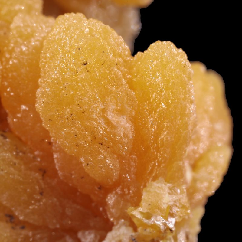 Mimetite with Wulfenite (classic material) | Ojuela Mine, Mapimi ...