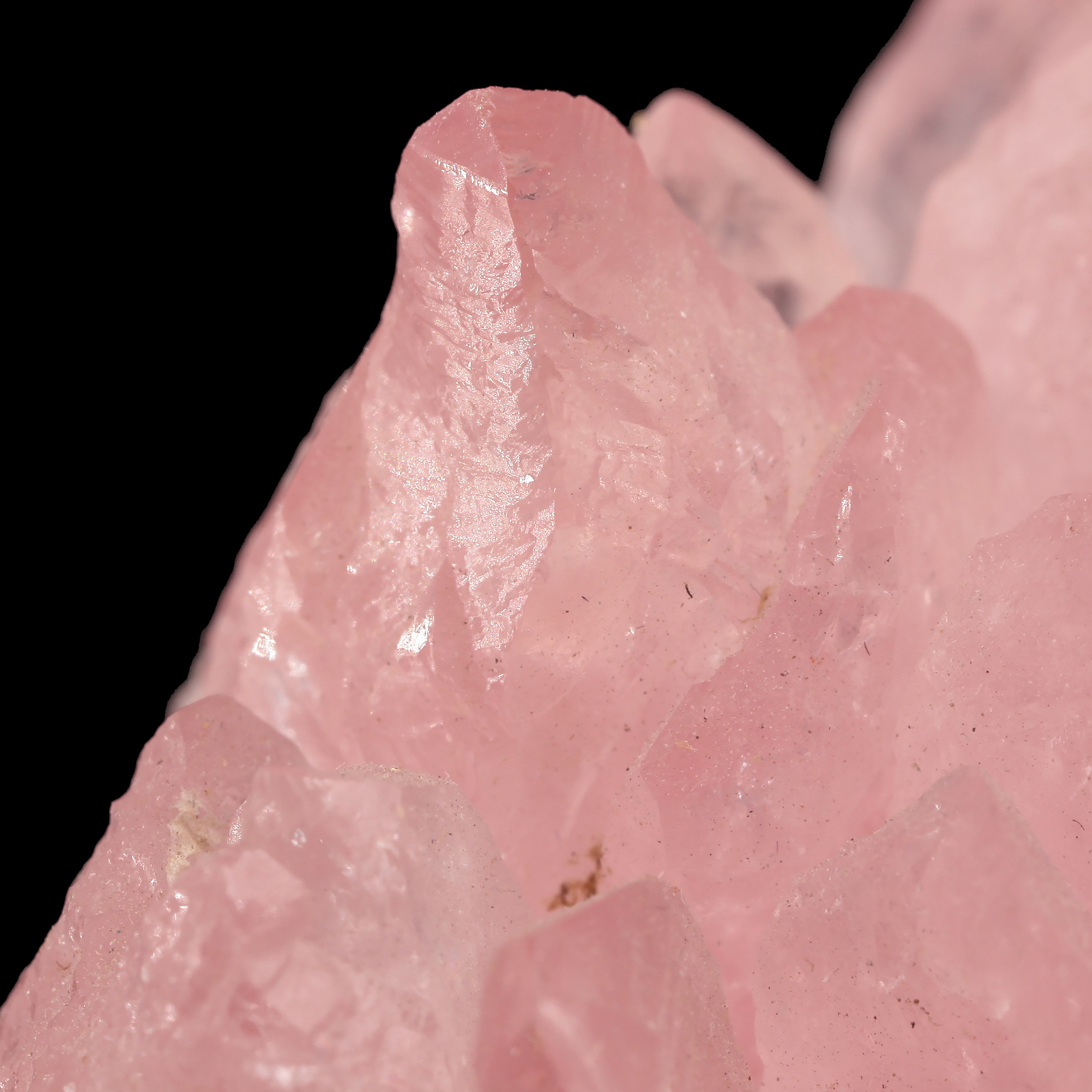 Quartz var: Rose Quartz (fine quality) | Governador Valadares, Minas ...