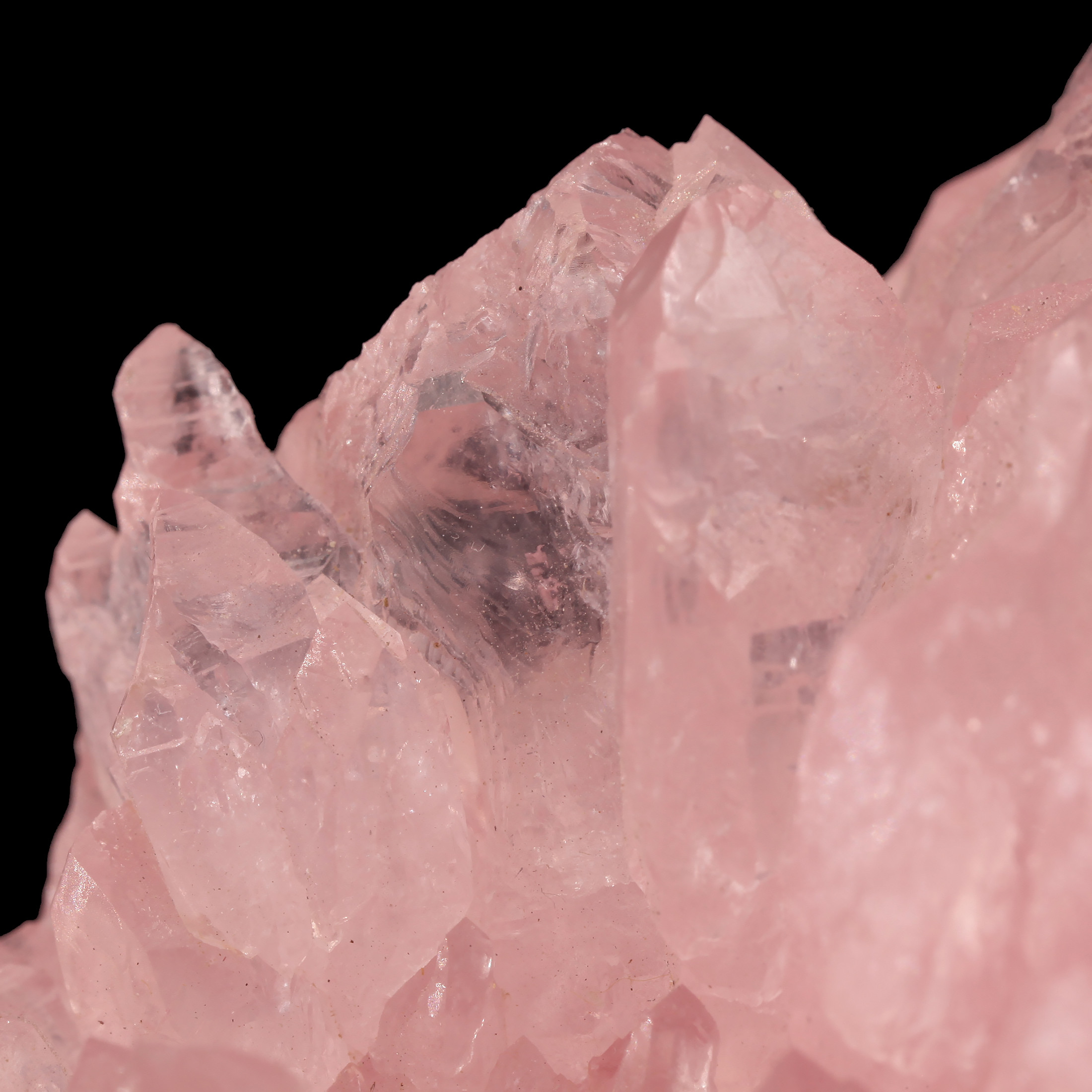 Quartz var: Rose Quartz (fine quality) | Governador Valadares, Minas ...