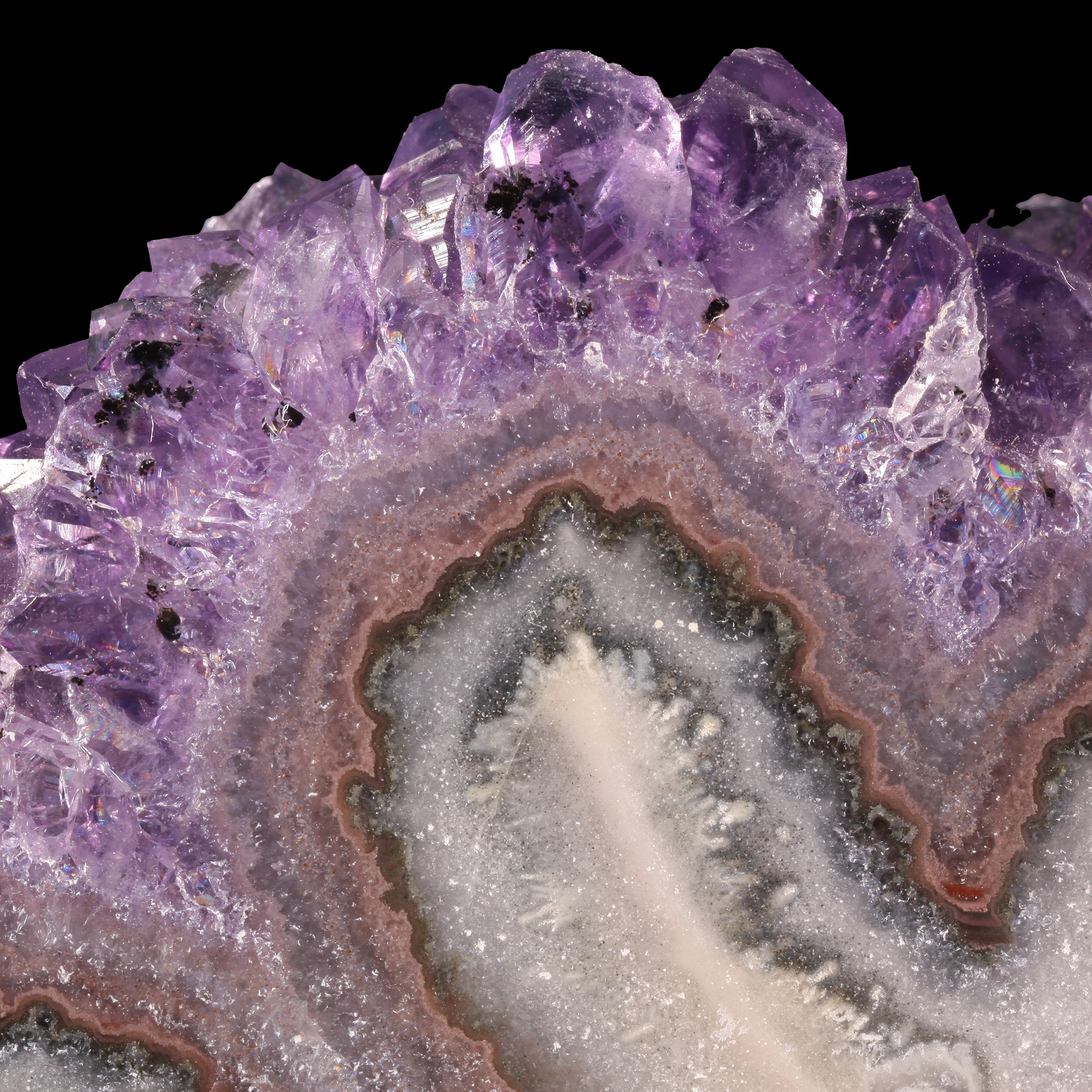 Quartz var: Amethyst (polished slice - cross section) | Artigas, Uruguay