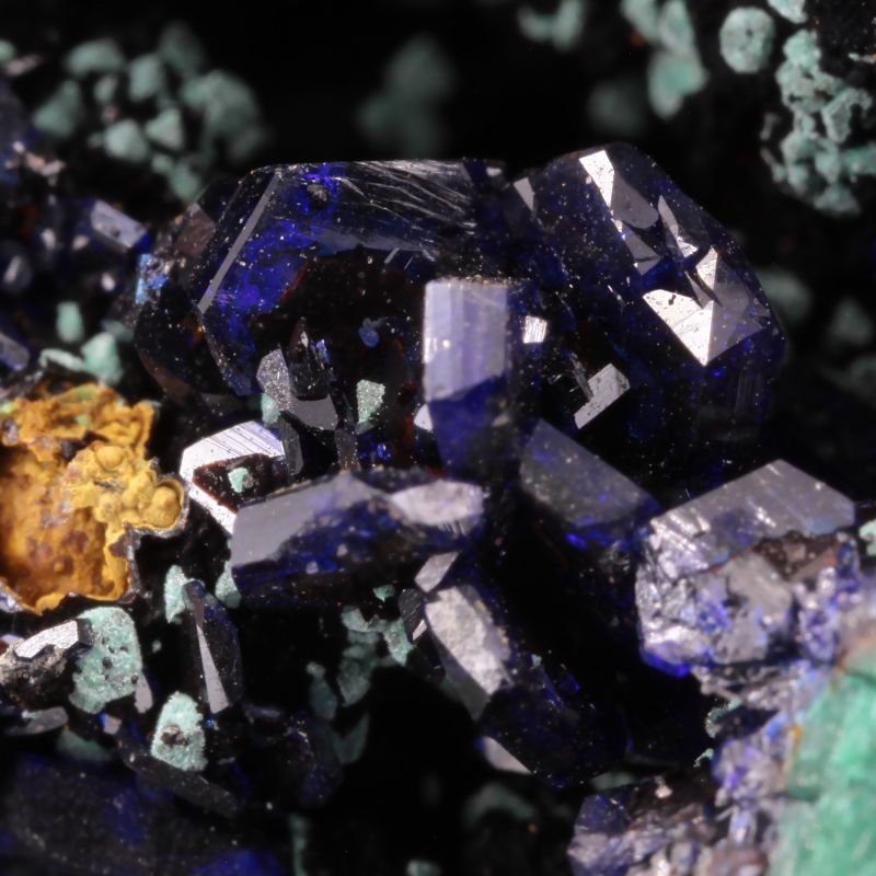 Azurite (fine classic material) | Czar Mine, Copper Queen Mine, Queen ...