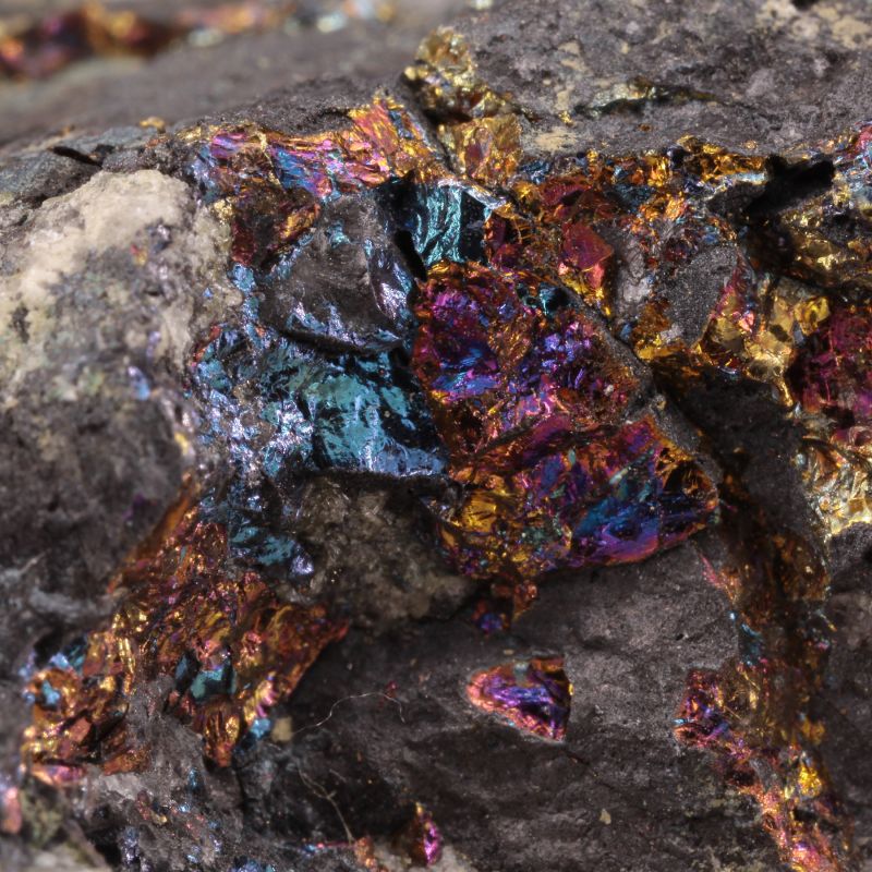 Bornite (RARE locality specimen) | Hanson Stone Quarry, Rougemont ...