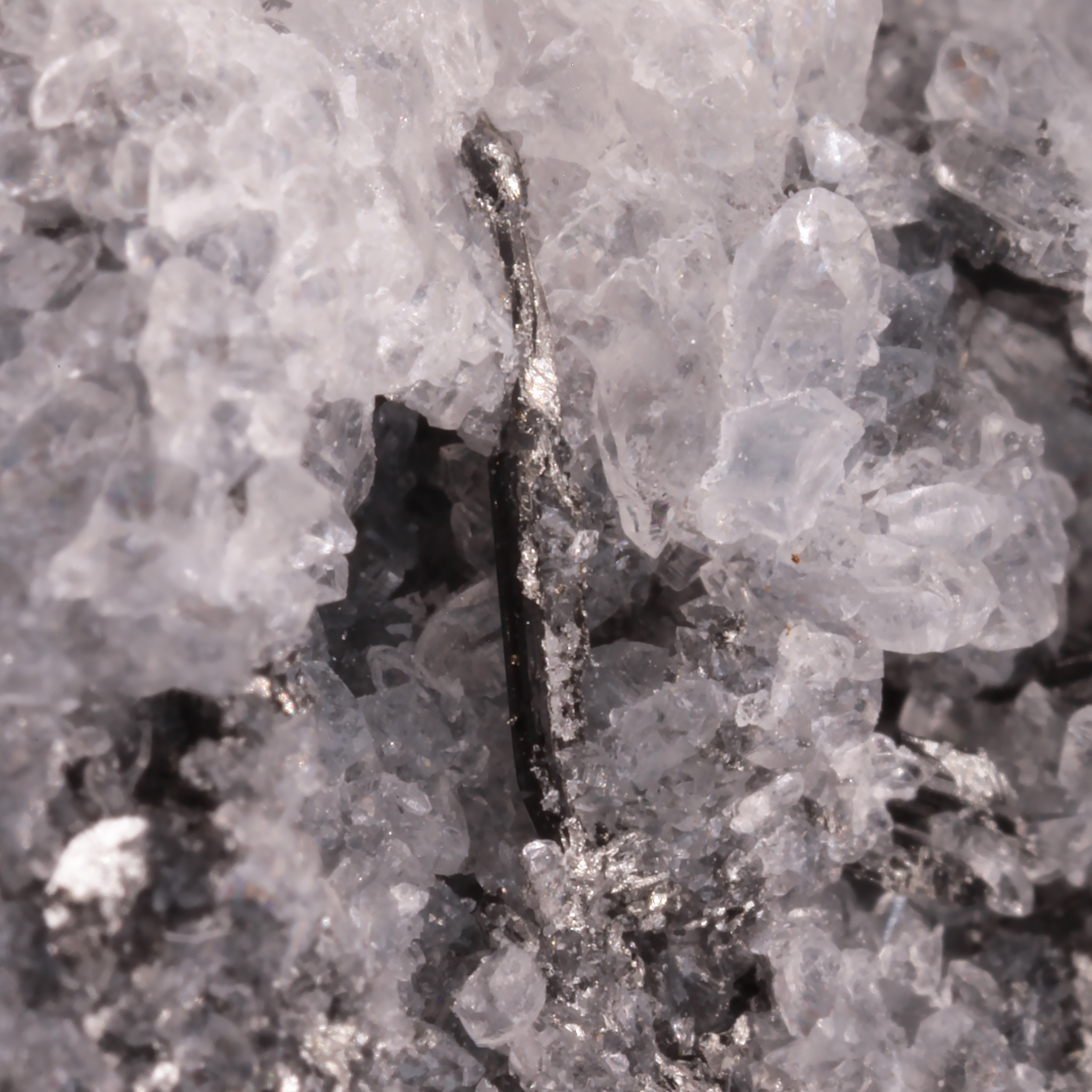 Sylvanite (rare) | Emperor Mine, Vatukoula, Tavua Gold Field, Viti Levu ...