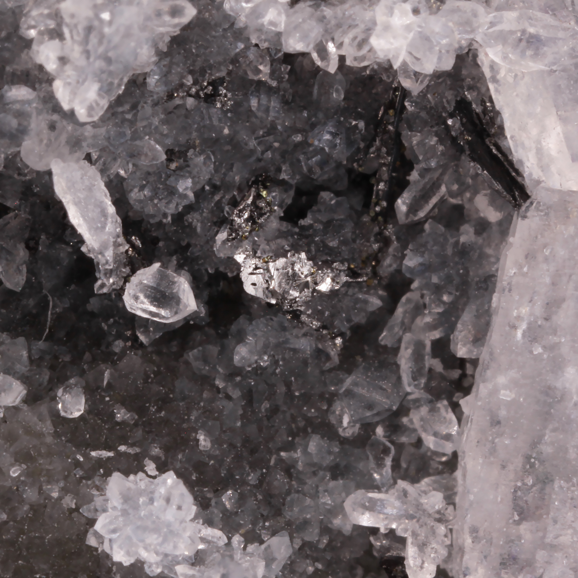 Sylvanite (rare) | Emperor Mine, Vatukoula, Tavua Gold Field, Viti Levu ...