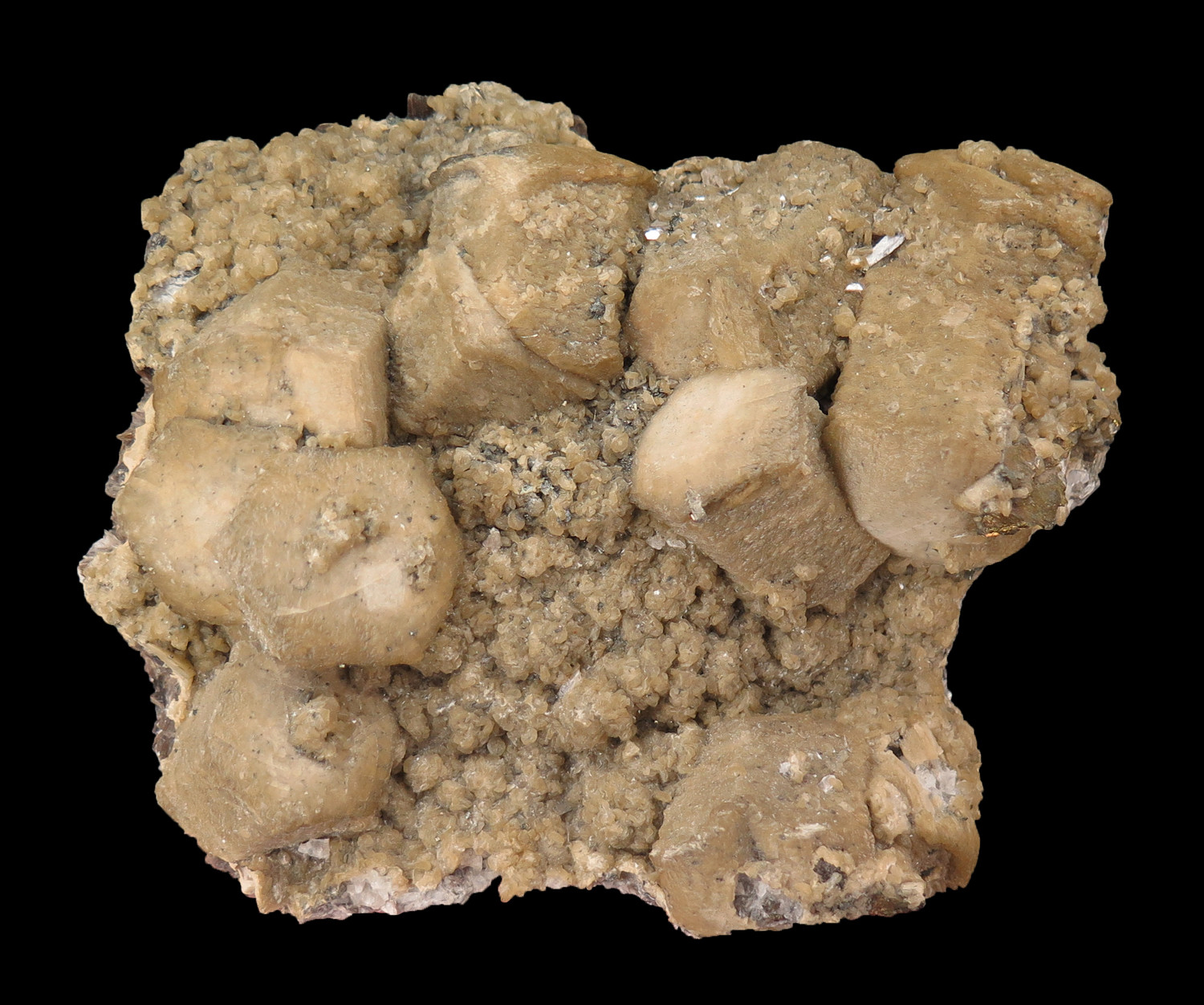 Siderite on Muscovite with Chalcopyrite | Panasqueira Mines, Covilhã ...
