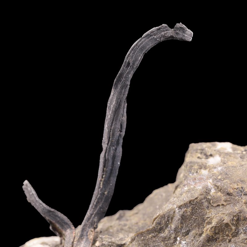 Wire Silver | Uchucchacua Mine, Oyon Province, Lima Department, Peru