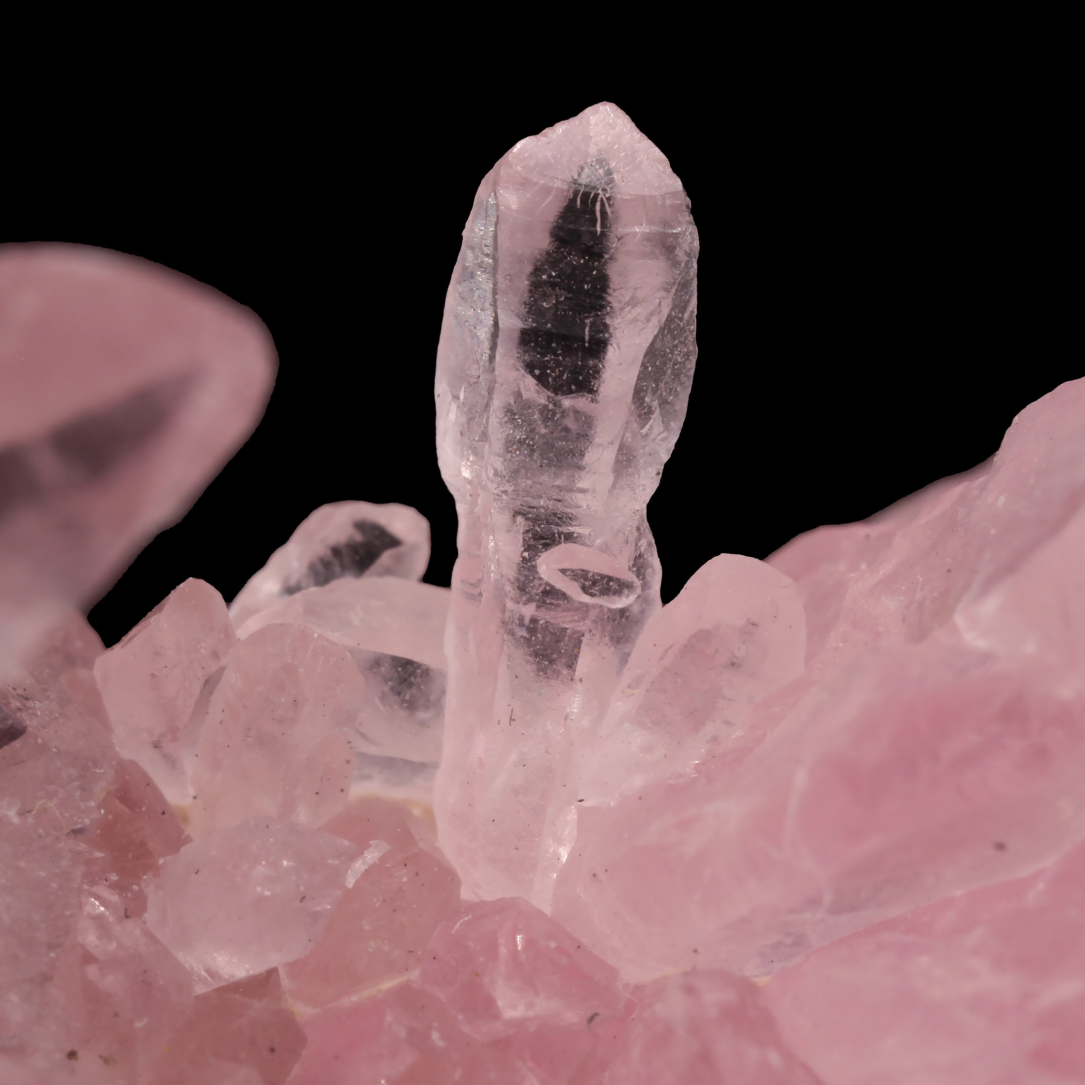 Quartz var: Rose | Pitorra Claim, Laranjeiras, Galileia, Doce valley ...