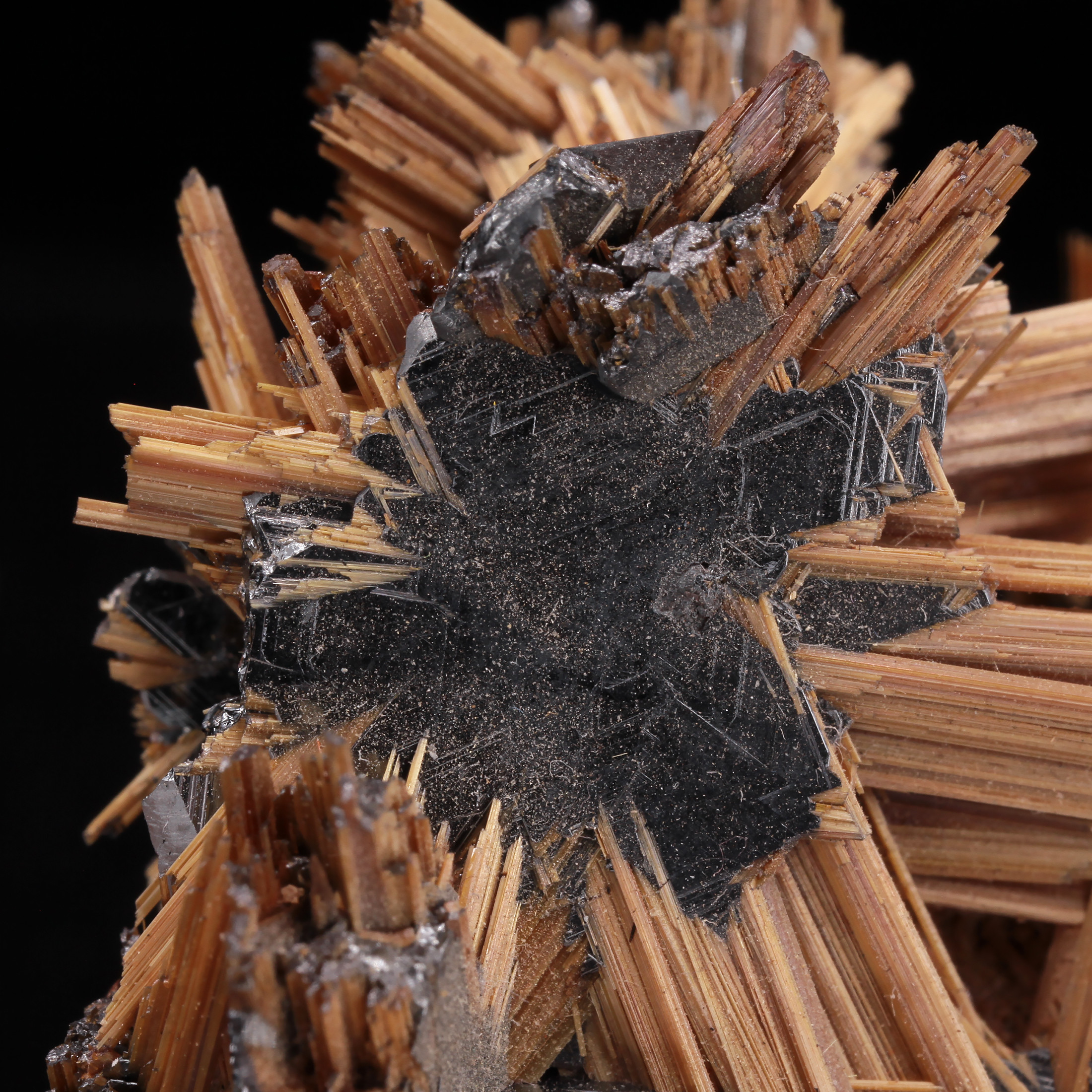 Rutile with Hematite | Ibitiara, Bahia, Brazil