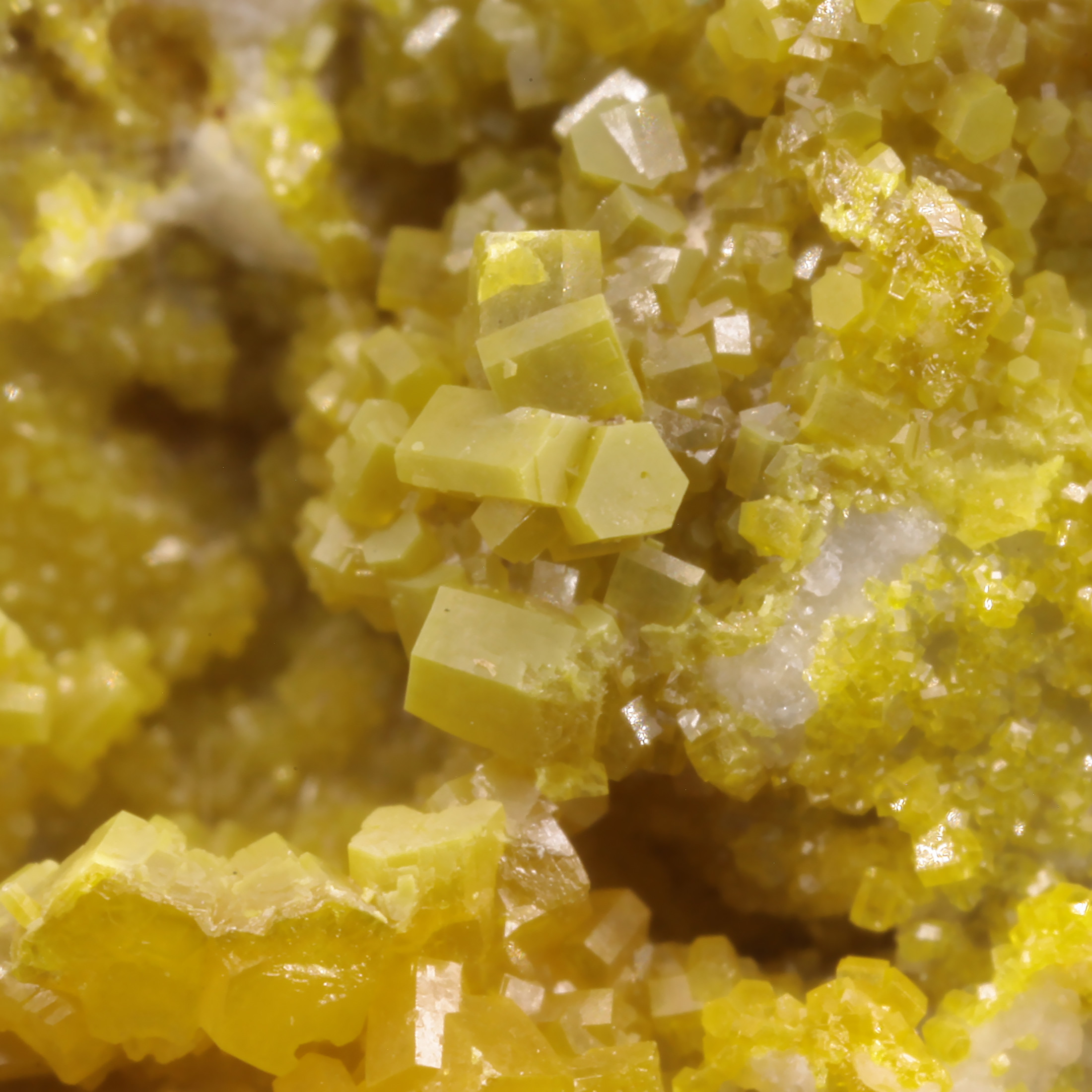 Pyromorphite (rare locality specimen) | Old Luganure Mine, Glendasan ...