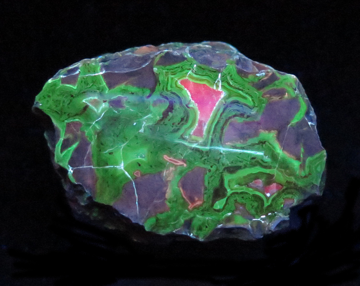 Coprolite fossil with Hyalite Opal | Utah, USA