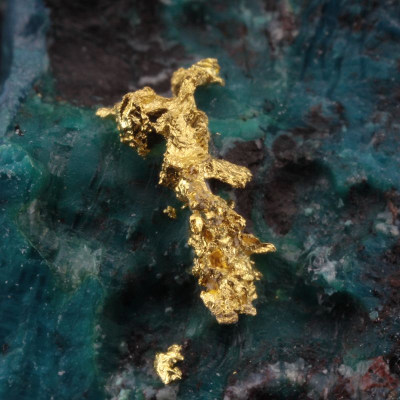 Gold with Shattuckite and Malachite (rare combo) (2024 discovery ...