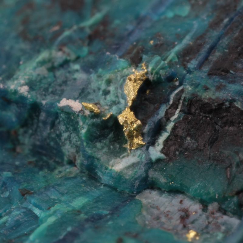 Gold with Shattuckite and Malachite (rare combo) (2024 discovery ...