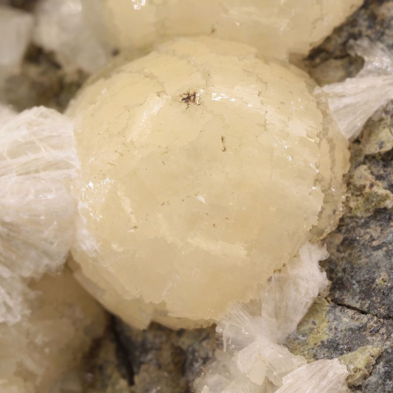 Stellerite (RARE locality specimen) | Chantilly Quarry, Chantilly ...