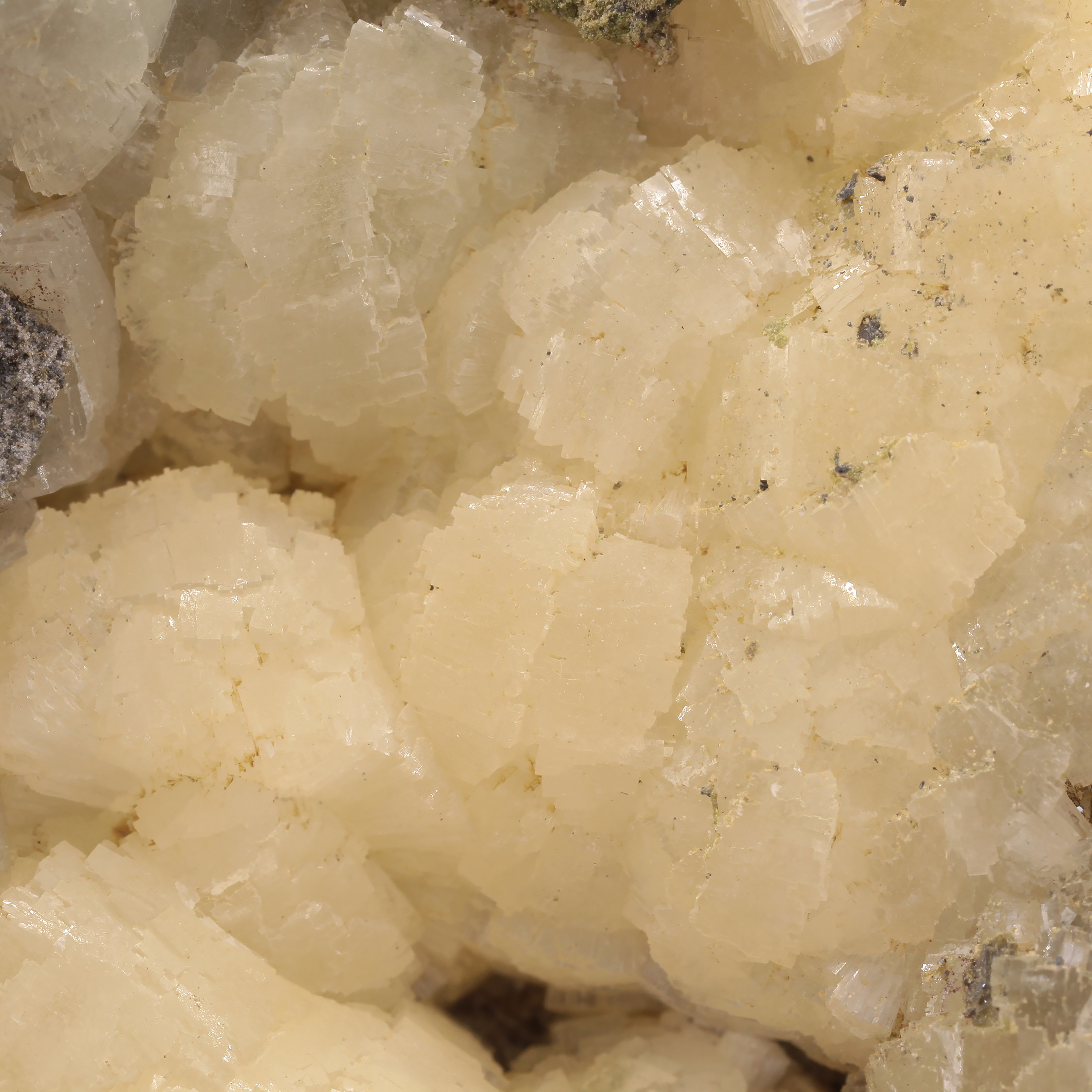 Stellerite (RARE locality specimen) | Chantilly Quarry, Chantilly ...