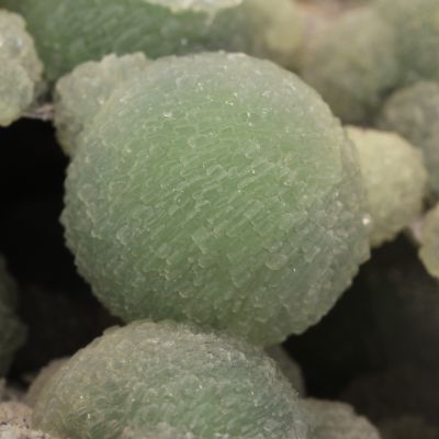 Special Auction - Specimens from the George Loud Collection ...