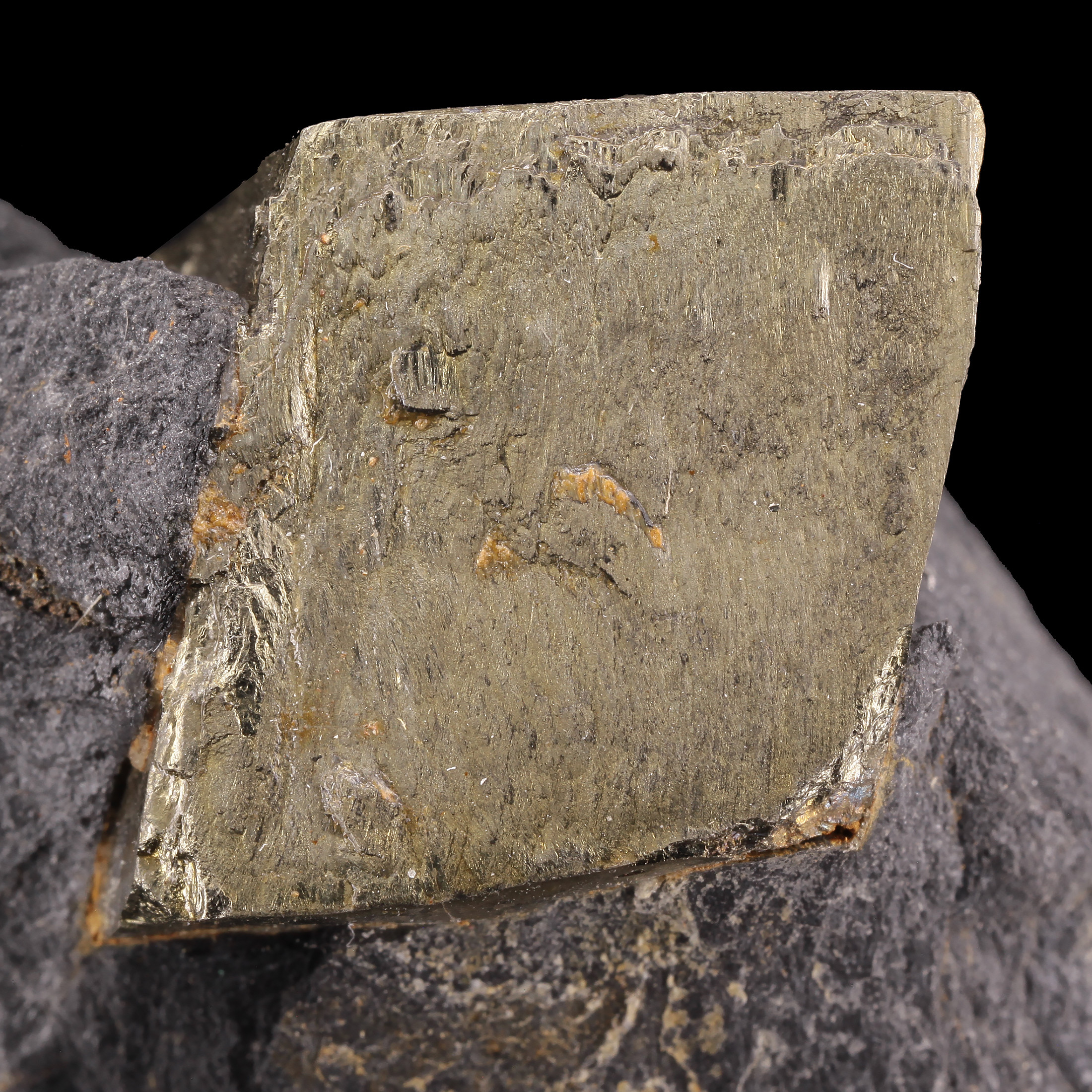 Pyrite (RARE locality specimen) (Collected by George Loud: August 1983 ...